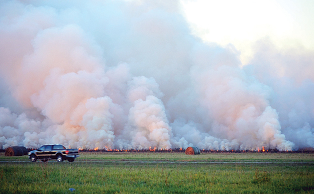 Fire In Your Pasture: Friend or Foe? - Countryside
